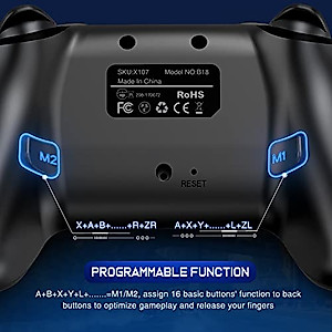 Wireless Switch Controller for Nintendo Switch/Lite/OLED Controller, Switch Controller with a Mouse Touch Feeling on Back Buttons, Extra Switch Pro Controller with Wake-up,Programmable, Turbo Function