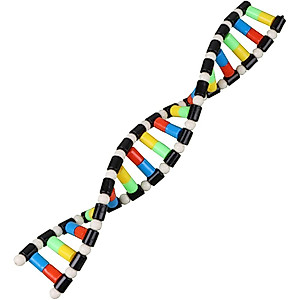iplusmile DNA Models Double Helix Structure Models DNA Double Helix Modesl Kit Biological Science Popularization Teaching Aids for DNA Assembling