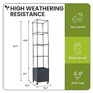 DXront Raised Garden Bed with Tomato Cage 56.7” Self Watering Tomato Planter Boxes with Trellis Wheels for Outdoor Climbing Flowers Vegetable Vine Vegetables