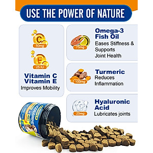 Joint Supplement For Dogs, Hip & Joint Health, Pain Relief, Mobility & Flexibility Support, Glucosamine, Chondroitin, MSM & Omega-3, Turmeric, Advanced Pet Vitamin (Chicken Flavor / 120 Chews)