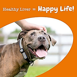 Zesty Paws Liver & Kidney Support Supplement for Dogs - with Milk Thistle Extract, Turmeric Curcumin, Cranberry & Choline - Natural & Grain Free Soft Chew Formula - for Dog Liver Function & Detox