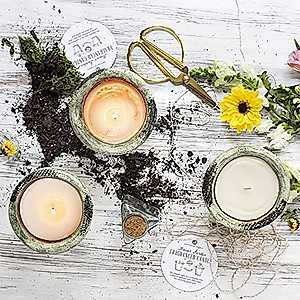 Northern Lights The Flower Garden English Daisy Candle/Planter, 12 oz