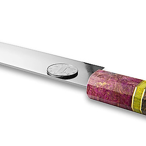 Damascus Chef Knife Unique Handle Professional 8 Inch Japanese Chefs Kitchen Knife Vg10 67 Layers Damascus Steel Knive with Sheath (gyuto knife)