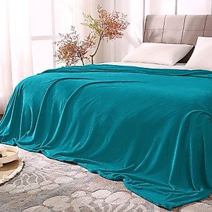 BEDELITE Fleece Blanket King Size Blankets for Bed, Luxury Plush Cozy Fuzzy Blanket 108x90 inches, Super Soft Warm Lightweight Throw Blanket All Seasons Suitable, Bluebird