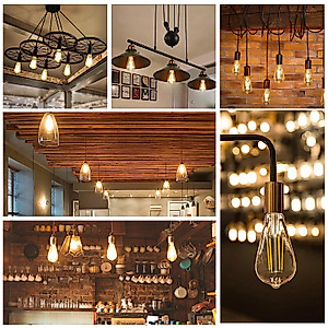 TopLeder Vintage LED Edison Bulbs 6W, Equivalent 60W Incandescent, Warm White 2700K, E26 Medium Base, Non-Dimmable, ST58 Antique LED Filament Bulbs with 80+ CRI, Amber Glass, Pack of 6