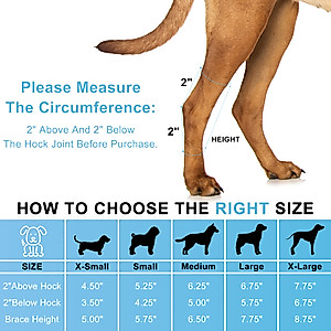 OPSELU Dog Leg Braces for Back Leg,Dog Back Leg Support Brace with Dual Metal Strips,Dog Leg Brace with Reflective Straps,Dog Knee Brace for luxating Patella,Dog ACL Brace Hind Leg,1 Pair(M)