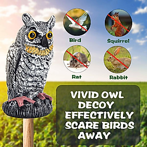 3 Pack Fake Owl Decoy to Keep Birds Away - Plastic Horned Owl Statues Bird Scarecrow Deterrents for Pigeon Hawk Squirrels Woodpecker, Halloween Decoration, Bird Scare Devices for Garden Outdoor Yard