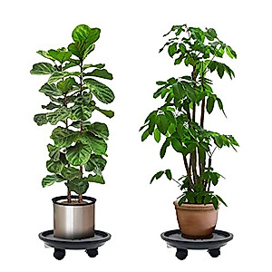 Tongzhi 3pcs 13inch Plant Caddy with Built-in Water Container and 4 Wheels, Garden Rolling Planter Trolley with Wheels, Plant Stand with 2 Lockable Wheels, Load Capacity 130 lbs,Black…