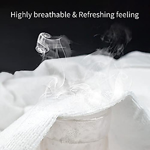 Letech+ Waterproof Mattress Protector Fitted Style, King Size 100% Cotton Terry Smooth and Breathable Top, Mattress Cover - Noiseless Vinyl-Free Deep Pocket Machine Washable Protector