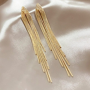 Gold Long Tassel Earrings for Women