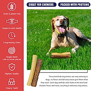 American Made Treat Co - Dog Treats, Chicken and Beef Flavor Variety Beef Rawhide Chip Rolls, Puppies to Seniors, Dental Dog Bone Alternative - 3-3.5” Rolls - 20 Pack