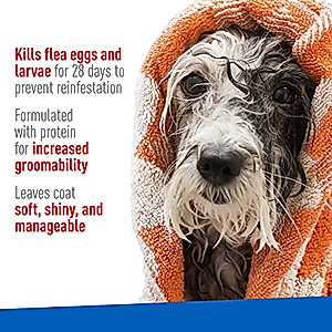 Adams Plus Flea & Tick Shampoo with Precor for Cats, Kittens, Dogs & Puppies Over 12 Weeks Of Age | Sensitive Skin Flea Treatment for Dogs & Cats | Kills Adult Fleas, Flea Eggs, Ticks, and Lice | 6 Oz