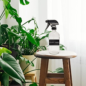 Cornucopia 16oz Clear Glass Spray Bottles (6-Pack); 3-Setting Sprayer Tops and Chalk Labels