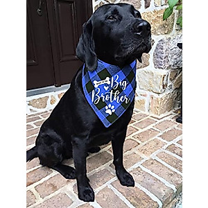 Ptzizi Funny Soon to Be Big Brother Blue Plaid Cotton Triangle Pet Dog Bandana Bibs Scarf for Pet Dog Lovers Gift
