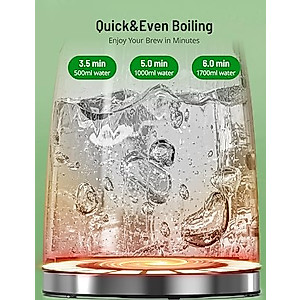 Paris Rhone Electric Kettle, Stainless Steel Electric Tea Kettle for Boiling Water, 1.7L Hot Water Boiler Heater, 1500W, Auto Shutoff, Boil-Dry Protection, LED Indicator, Coffee and Tea, Green