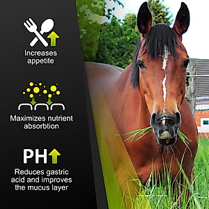 GastroMend XC, 100% Natural Equine Stomach Health for Horses, Promotes Healing & Prevention of Gastric Ulcers, Highly Potent & Effective, Supports Gastric and Hindgut Health, 30 Servings, Made in USA