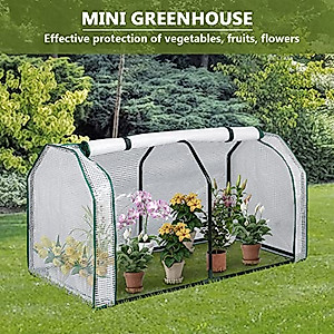 LYNSLIM 2pcs Mini Greenhouse, 48" x24x 21.6",PE Cover,Large Zipper Doors,Indoor Outdoor Garden Green House Flowerpot Cover