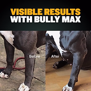 Bully Max Muscle Builder Soft Chews for Dogs and Puppies - Training Supplements for Puppy and Adult Dog - Dog Food Topper Treats for Muscle Gain - All Dog Breeds & Ages, 75 Delicious Soft Chews