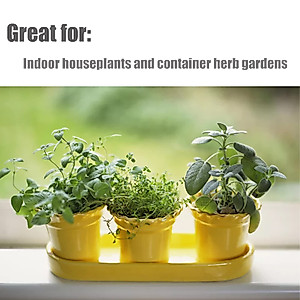 Doter Organic Potting Soil Mix for All Indoor & Outdoor Small Containers Including Herbs, Vegetables, and Flowers 1 qt