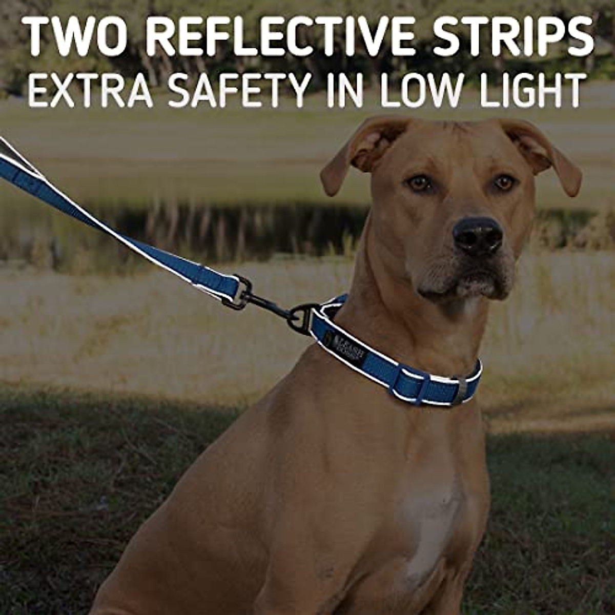 Leashboss Reflective Martingale Collar and 6 Ft Leash with Padded Handle, Medium Collar 14.5-17" Neck, Blue