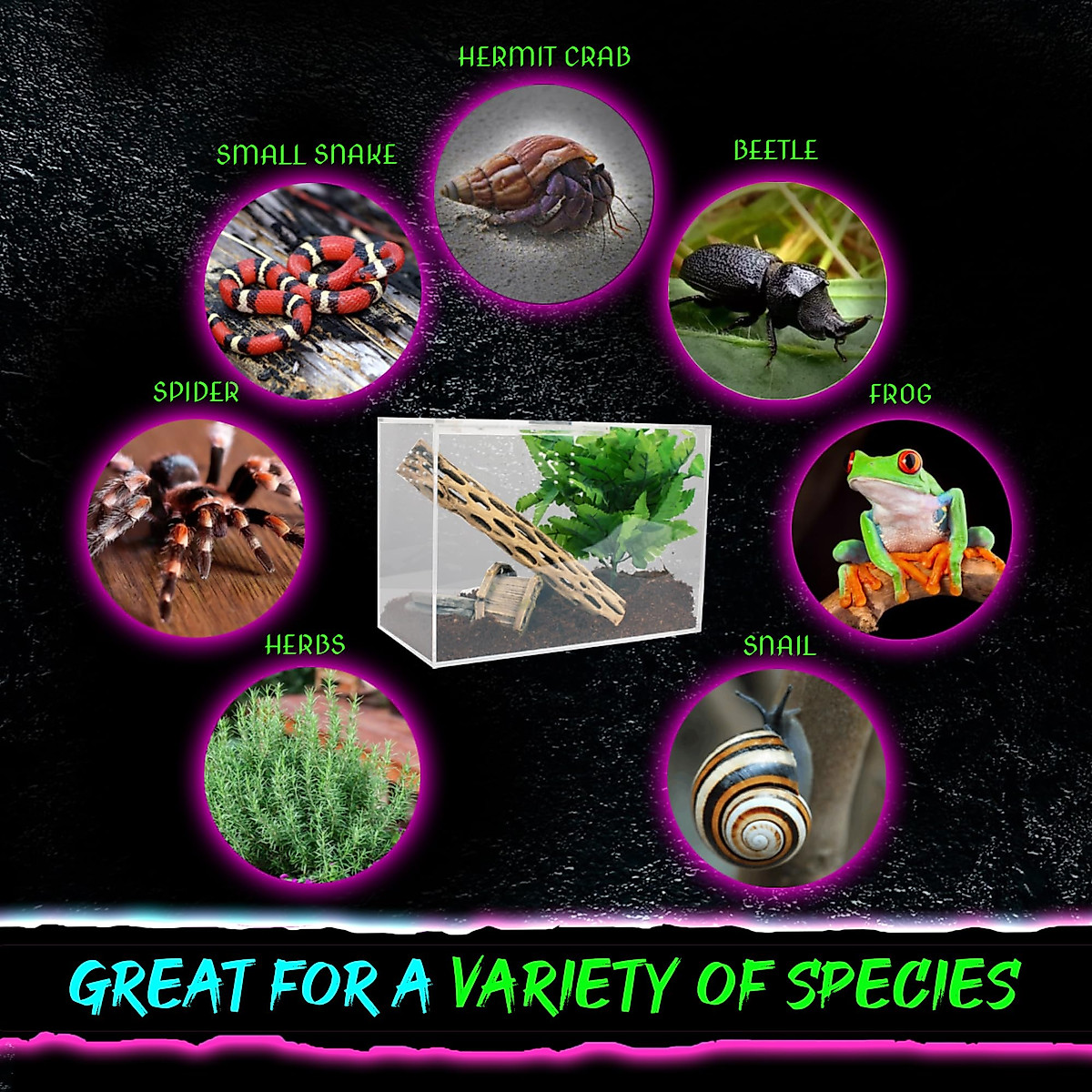 Tarantula Enclosure XL (10”x7”x14”) Reptile Terrarium w/Sliding Magnetic Door-Great Reptile Tank for Terrestrial or Arboreal Animals- Acrylic Terrarium for Juvenile or Adult Spiders- Hermit Crab Cage