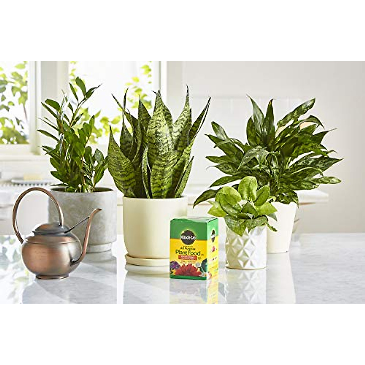 Miracle-Gro 2001123 All Purpose Plant Food Plant Fertilizer (6 Pack), 1.5 lb