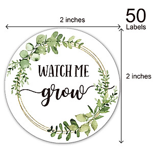 Watch Me Grow Stickers, Greenery Wedding Favor Stickers, Baby Shower Stickers, Favors, Decorations, 2 Inch, Pack of 50