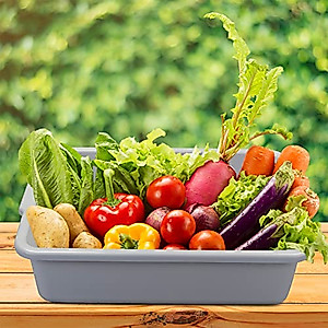 Anbers 4-Pack Commercial Tote Box, Plastic Bus Box, Bus Tubs, 22 L, Gray