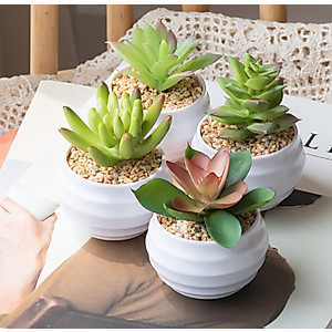 GOODSDECO Artificial Succulent Plants in Pots, Fake Plants for Indoors, Home Garden Decor, Cactus Plants Artificial, Fake Cacti, Faux Succulents, Set of 4