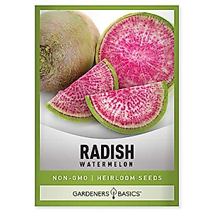 Watermelon Radish Seeds for Planting - Heirloom, Non-GMO Vegetable Seed - 2 Grams of Seeds Great for Outdoor Spring, Winter and Fall Gardening by Gardeners Basics