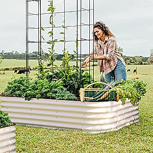 T4U Raised Garden Bed,17" Tall 8ft X 2ft Zinc-Aluminum-Magnesium Stainless Steel Durable Metal Planter Box, Easy to Install, Outdoor Planter Garden Bed for Vegetables Flowers Fruits etc