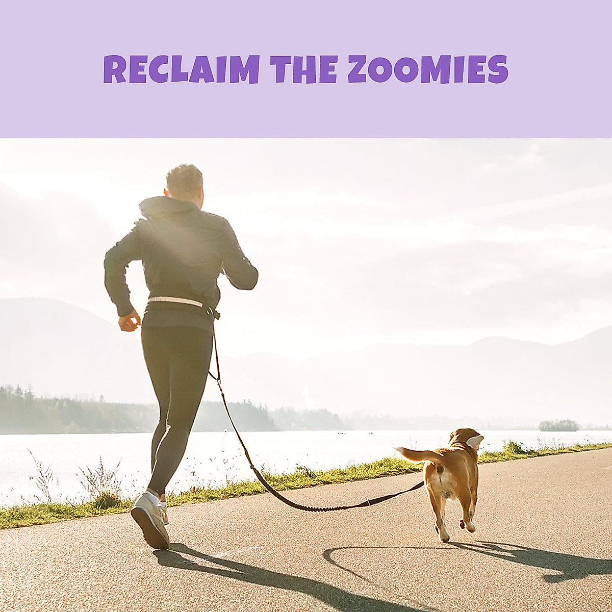 Petipet Hip and Joint Supplement for Dogs - Glucosamine and Tumeric Treats - Anti-Inflammatory Chews for Joint Health Support, Arthritis, Pain Relief - For Large and Small Breeds, Senior Dogs, Puppies