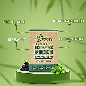 Natural Dental Floss Picks - Eco Friendly Cruelty Free & Vegan Tooth Flossers Pick Set with Biodegradable and Compostable BPA Free Handle & Zero Waste Packaging - 200 Pack (Bamboo Charcoal Flavored)