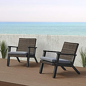 Real Flame 1120-BLK Norwood Set (2 Chairs), Brown/Gray Wicker