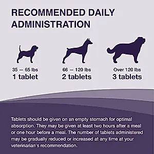 Nutramax Denamarin Liver Health Supplement for Large Dogs - With S-Adenosylmethionine (SAMe) and Silybin, 30Count(Pack of 1)
