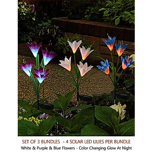 Bright Zeal 3 Bundle 12 Lily LED Fairy Solar Garden Light with Color Changing Flower Lights - Multi Color Solar Lights Outdoor Garden LED Flower Waterproof - Solar LED Metal Flower Stake Lights