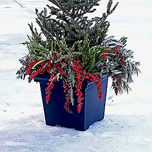 The HC Companies 24 Inch Terrazzo Large Square Planter - Rolled Rim Weather Resistant Decorative Plastic Plant Pot for Indoor Outdoor Use, Black