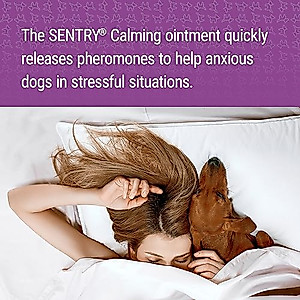SENTRY Calming Ointment for Dogs, Fast-Acting Releif for Anxious Dogs, 1.5 oz