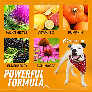 Velflix Allergy Immune Anti Itch & Hot Spots - Made in USA Natural Pet Supplement for Cat & Dog Allergy Relief with Turmeric & Milk Thistle -Seasonal Allergies Digestive Treatment for Dogs & Cats