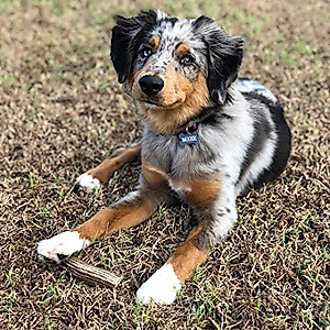 Nature Gnaws Antlers for Dogs - Premium Natural Deer and Elk Antler Chews - Long Lasting Dog Chews for Aggressive Chewers - Mix of Split and Whole