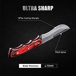 Leopcito 9" Fixed Blade Tactical Bowie Knives with Sheath, Stainless Steel Silver Survival Hunting Bushcraft Full Tang Knife with Non-Slip Handle for Camping, Hunting, Adventure, EDC, B101SL