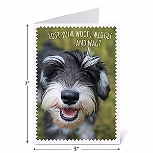 Current Furry Friends Get Well Greeting Cards Value Pack - Set of 20, 10 Unique Designs, Large 5 x 7 Inch Cards, Sentiments Inside, Dogs, Cats, Pets