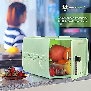 Urban August Dual Combination & Keyed Lockbox - Lockable Box for Everyday Use - Multi-Purpose lock for Home & Office Safety - Made of Industrial-Grade Plastic - One Size (Spring Green)