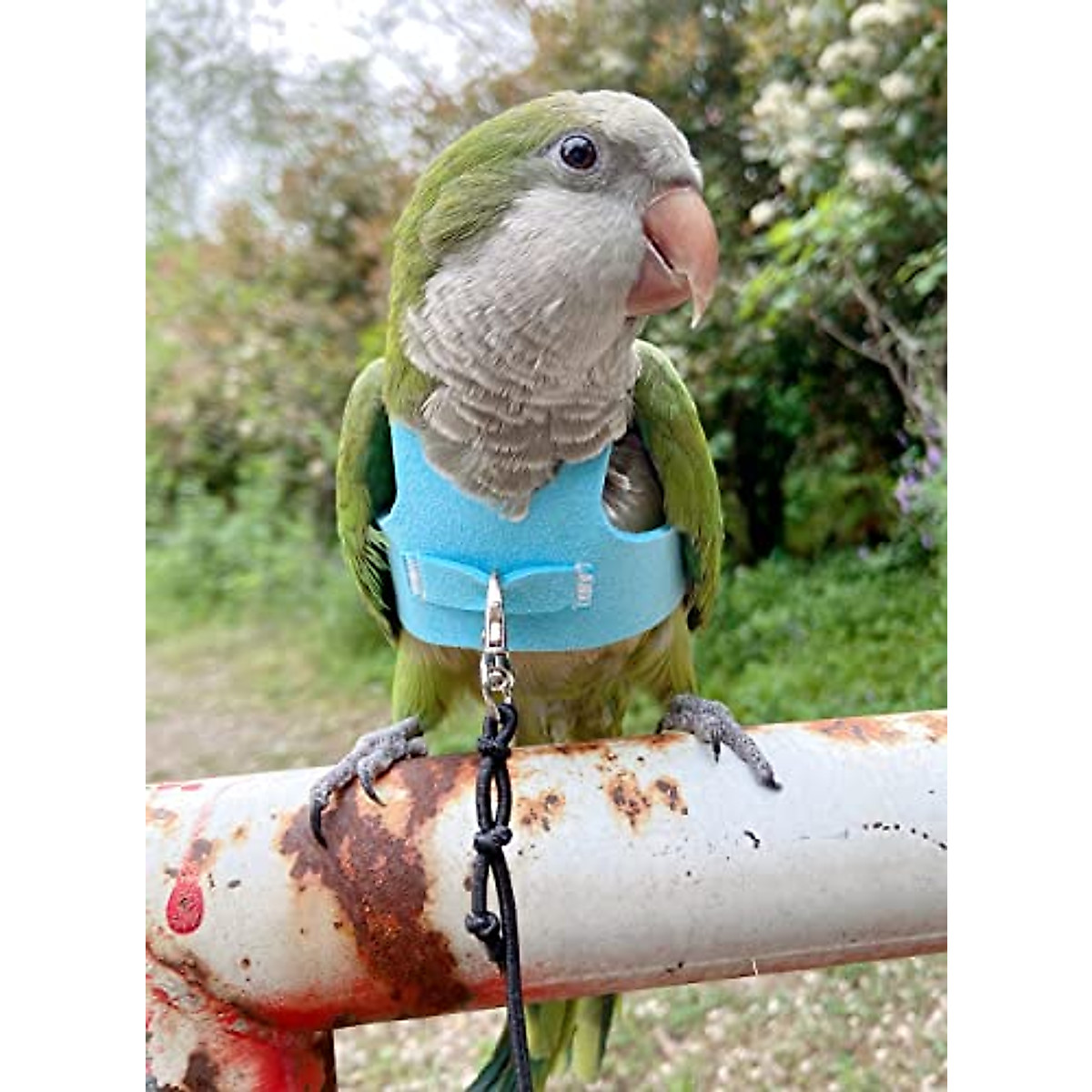 Bird Flight Harness Vest, Parrot Flight Suit with Leash for Parakeets Cockatiels Conures Budgies, Bird Flying Clothes with Rope and Handle for Outdoor Activities Training, Anti Bite (M, Blue)