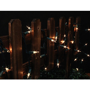 LAMPHOME Christmas String Light,100 Count Incandescent Mini String Light in 21.6ft,Indoor/Outdoor 120V UL Certified Mini Light for Christmas,Wedding,Patio Lawn,Home,Garden,Party,Store (Clear)