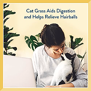 Pet Greens Treats Deep Sea Tuna Semi-Moist Cat Treat 3 Ounce (Pack of 1)