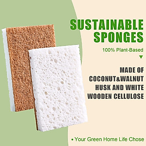 PANYEE Biodegradable Natural Kitchen Sponge，Eco Friendly Sponges for Dishes,Compostable Cellulose Sponge with Natural Plant Based Coconut Walnut Sustainable Scrubber Sponge Pack of 12