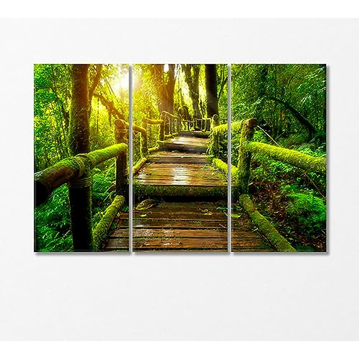 Old Wooden Bridge in Doi Inthanon National Park Thailand Canvas Print 3 Panels / 36x24 inches