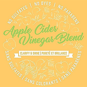 Aveeno Apple Cider Vinegar Shampoo + Conditioner for Balance & High Shine, Daily Clarifying & Soothing Scalp Shampoo for Oily or Dull Hair, Paraben & Dye-Free, 12 Fl Oz