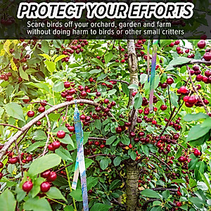 MP mypole Bird Scare Tape Ribbon, 2 * 300 Foot Reflective Tape Ribbon for Birds Woodpecker Scare Reflective Flash Tape Scare Birds Away for Outdoor, House, Garden, Patio, Orchard